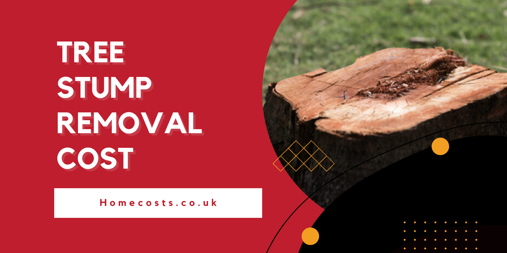Tree Stump Removal Cost & Prices 2024 - treesurgeonsinmyarea.co.uk